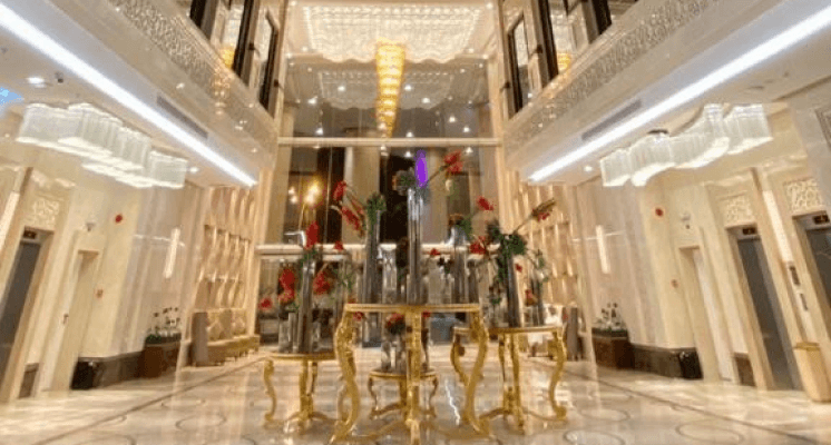 Violet Hotel | فندق فيوليت